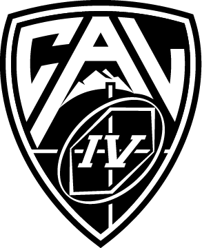 CAL IV Pipe – OCTG Well Integrity Specialists